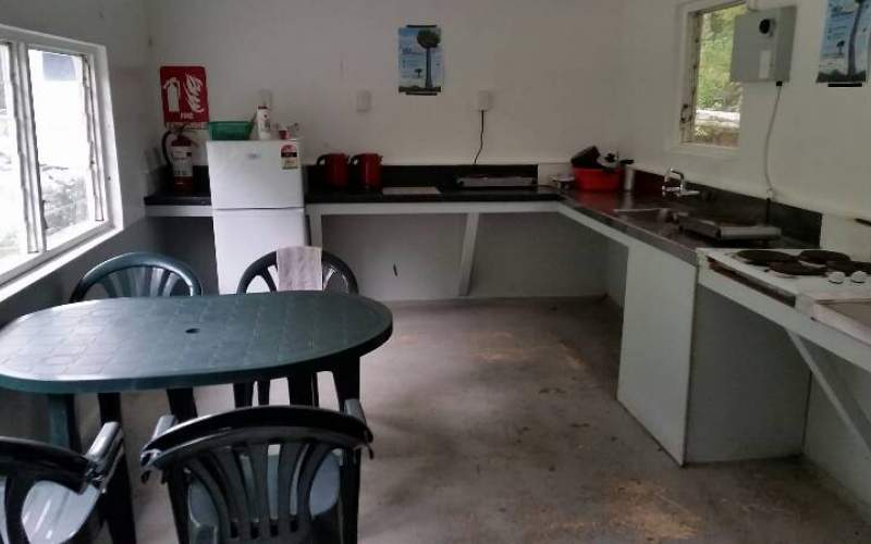 Trounson Kauri Park Campground | Full Service Camp | New Zealand